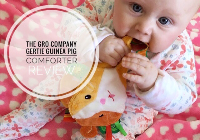The Gro Company Gertie Guinea Pig Flat Comforter Review – Squidgypigs