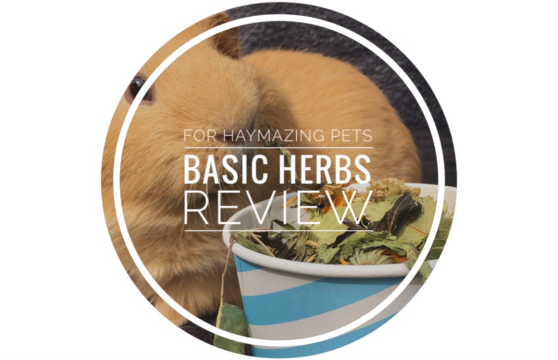 For Haymazing Pets Basic Herbs Review – Squidgypigs