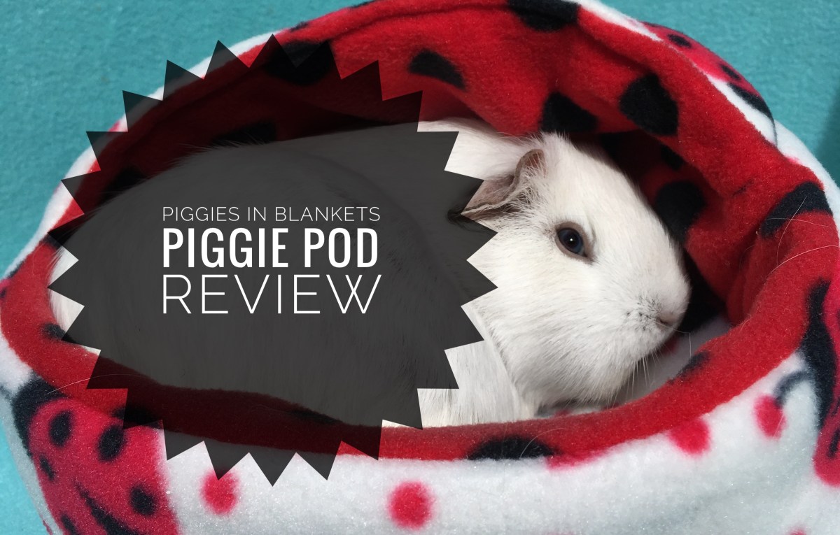 Piggies In Blankets Piggie Pod Review – Squidgypigs