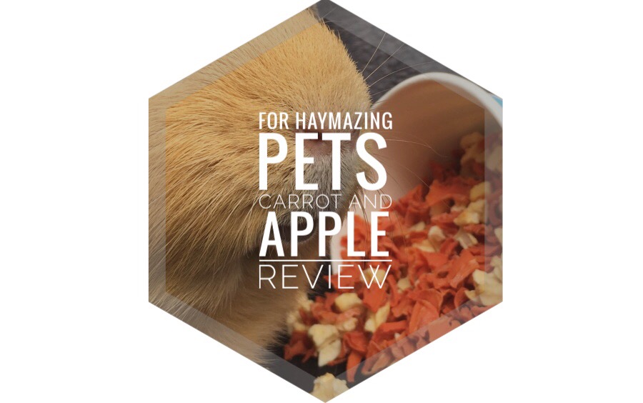 For Haymazing Pets Carrot and Apple Review – Squidgypigs