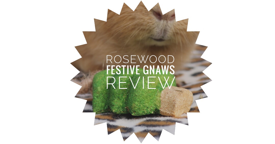 Rosewood Cupid and Comet Edible Festive Gnaws Review – Squidgypigs